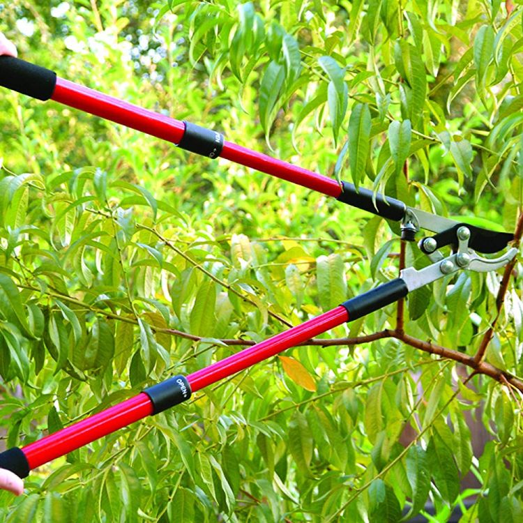 Corona Clipper Extendable Compound Action Bypass Lopper